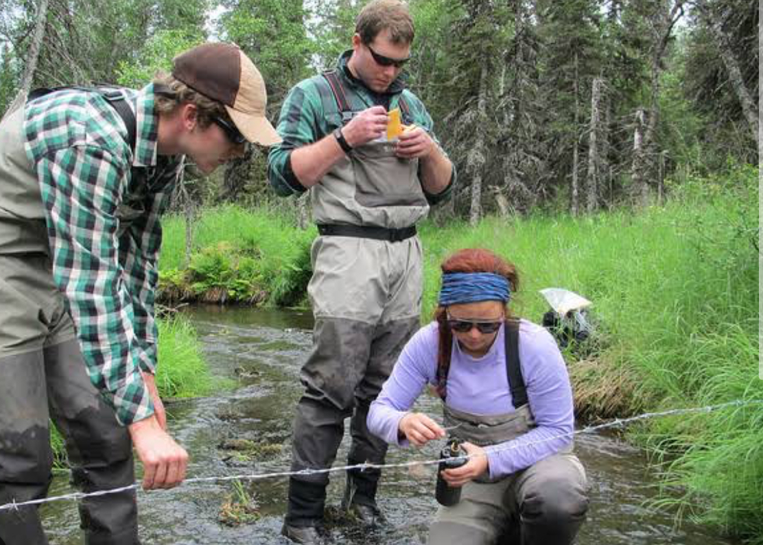 Top Online Environmental Science Degree Programs and Industry Salary ...