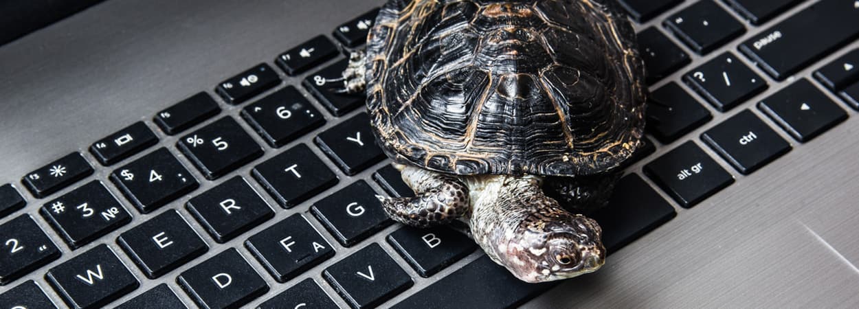 7 Reasons Why Your Laptop Is Slow And How To Fix It – My Info Connect