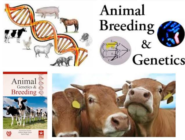 JAMB Subjects for Animal Breeding and Genetics – My Info Connect
