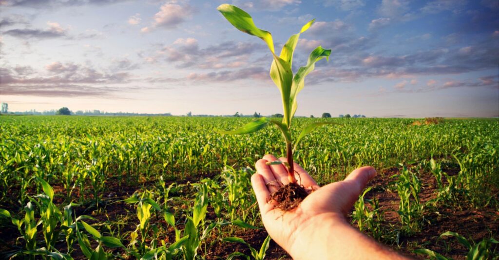 Plant Physiology & Crop Production Subject Combination for JAMB – My ...